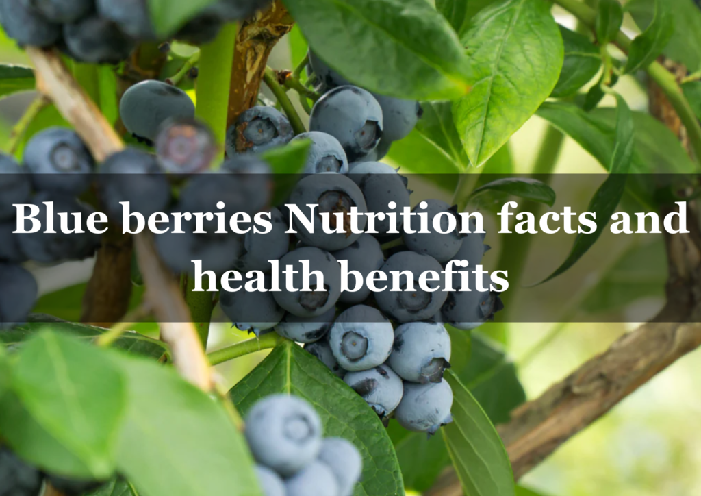 Blue berries Nutrition facts and health benefits - Go Waves Go