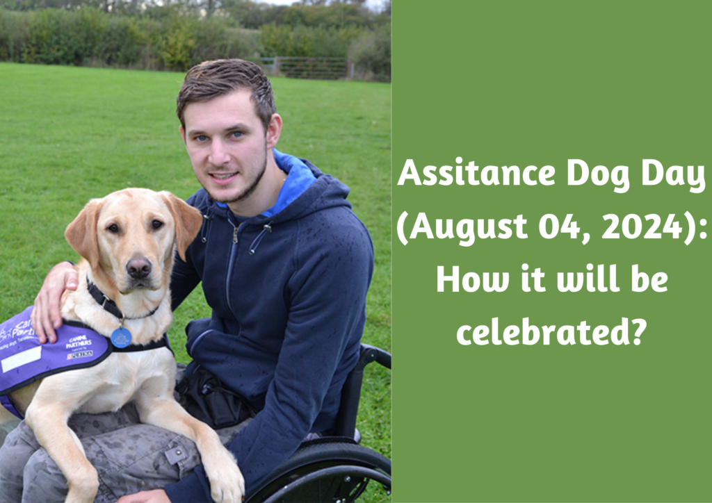 Assitance Dog Day (August 04, 2024): How it will be celebrated? - Go ...